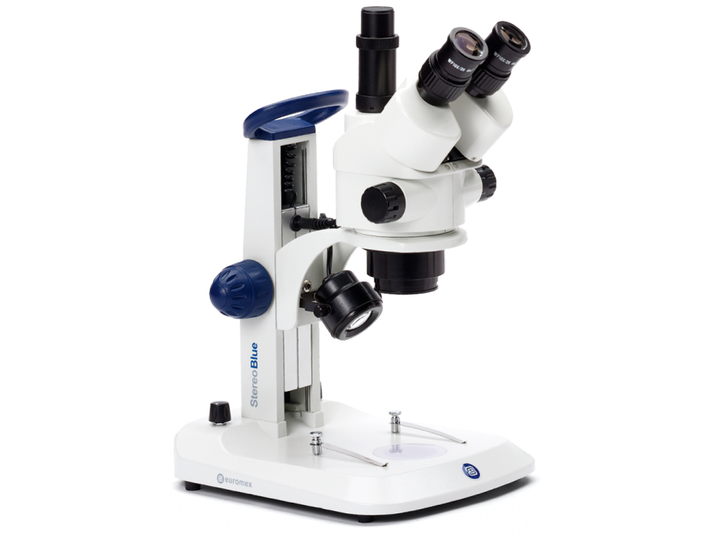 Euromex StereoBlue | Optik Riesen